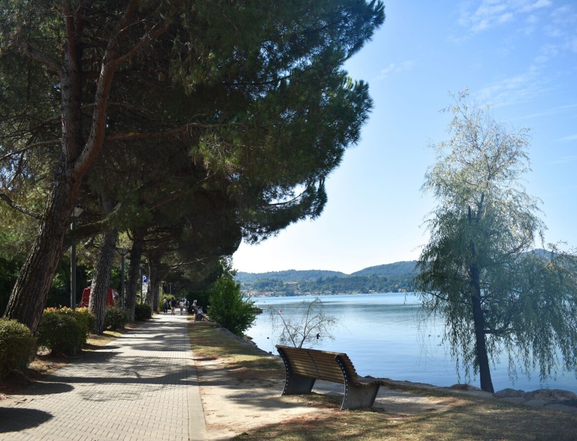 Lago Viverone: cosa vedere tra palafitte e percorsi panoramici